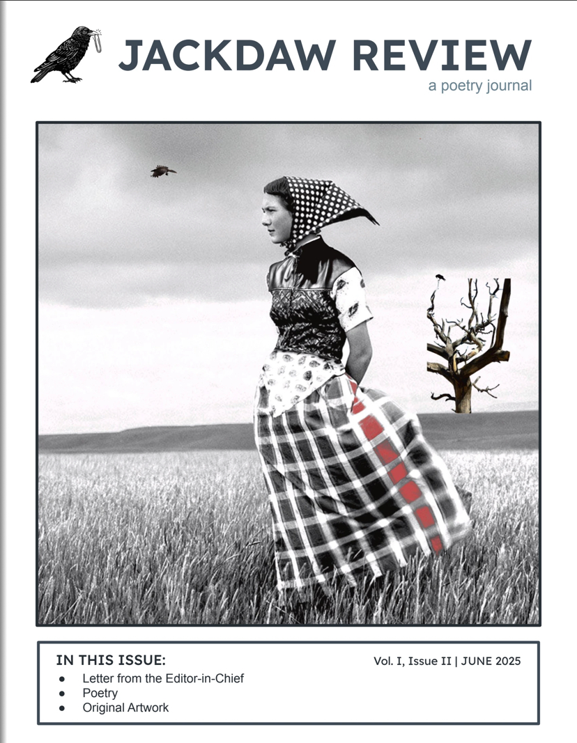 New Poem In Jackdaw Review | Maria Berardi
